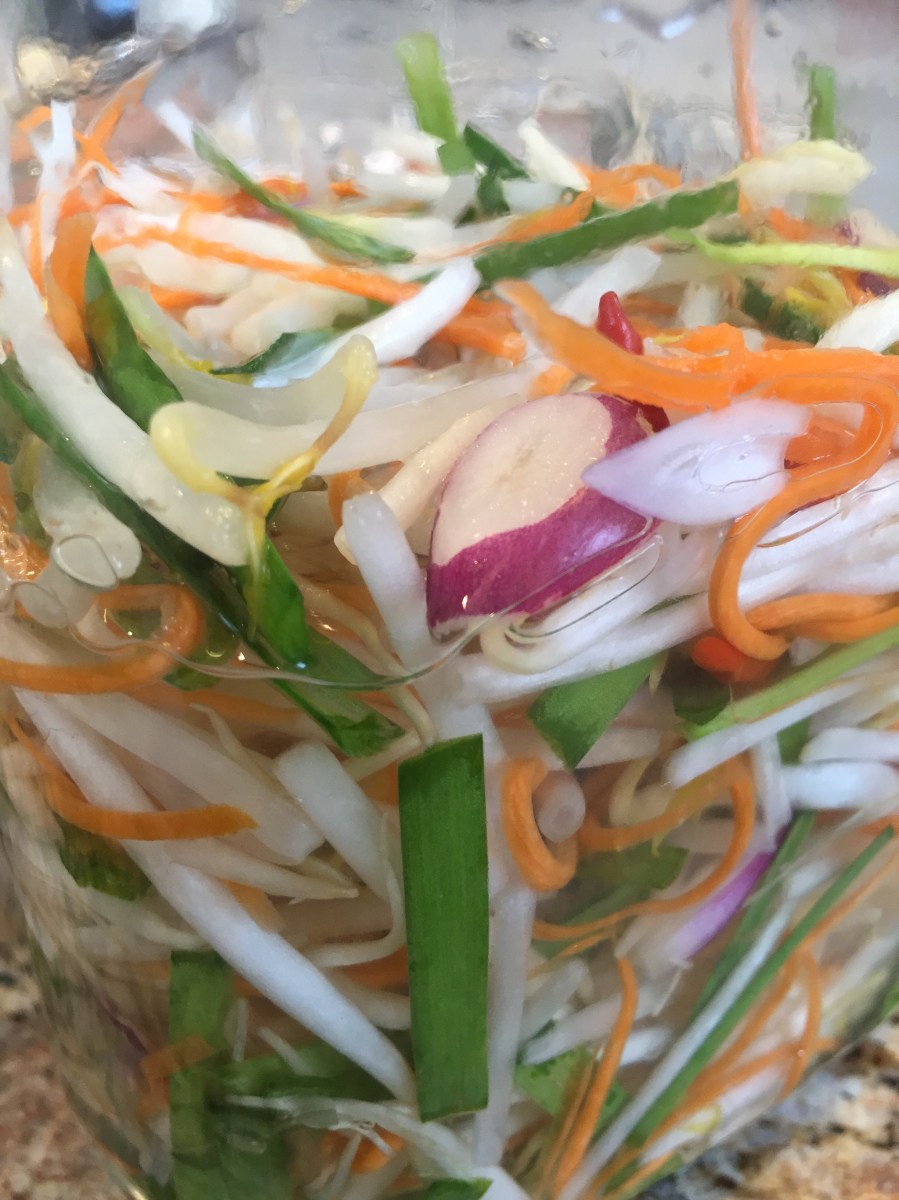 Dưa Giá / Pickled Bean Sprouts with Carrots and Chives | La Vie Partagée