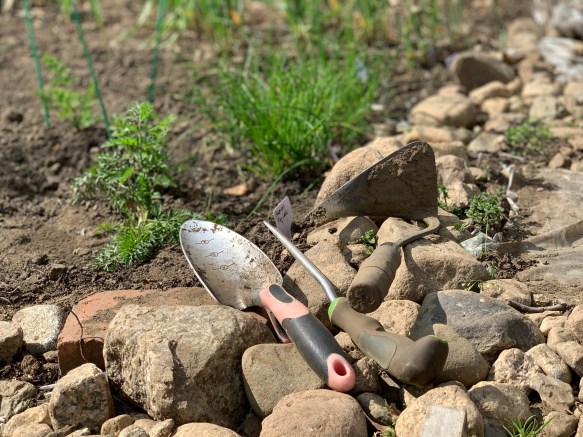 The Beginner Gardener Series: The 3 essential tools for gardening | La ...